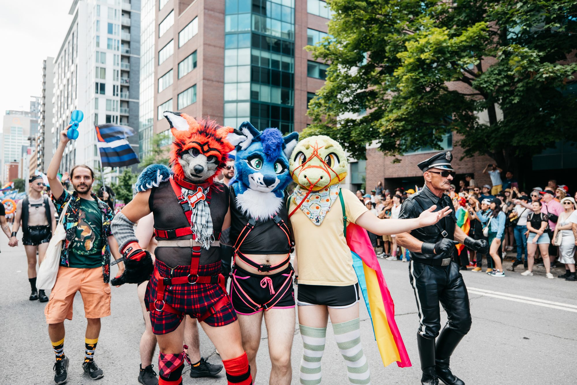 Exploration et inclusion: le rôle du kink dans les communautés ...